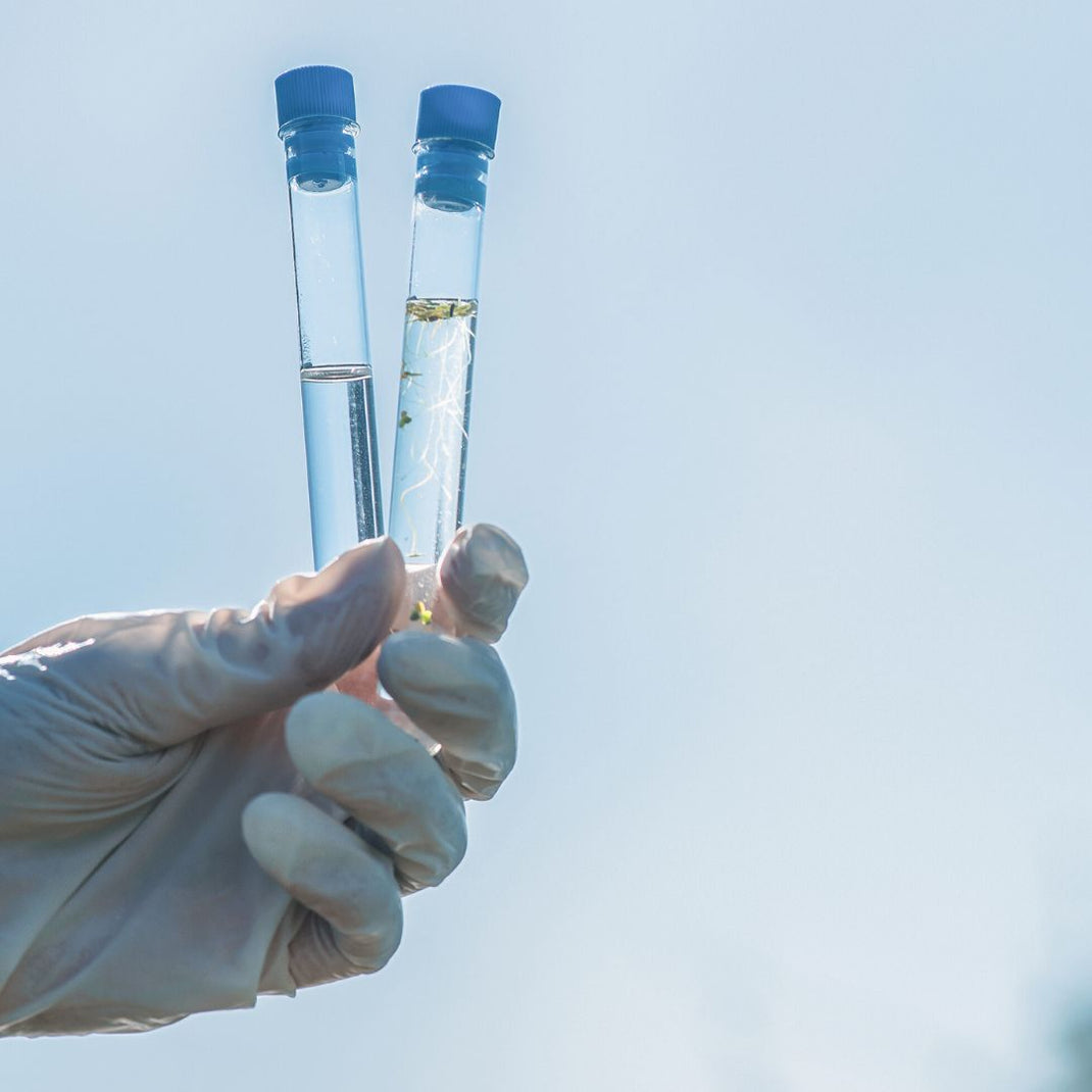 Vattenprov egen brunn - Prisvärda vattenanalyser | Onlinefilter.com